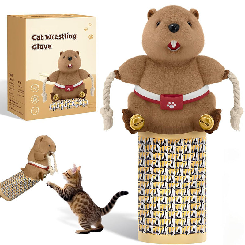 Karate Kitty Wrestling Glove Puppet Toy For Cats
