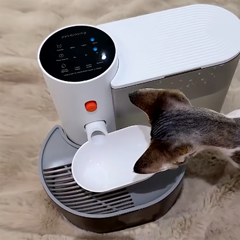 Filter Free Pet Water Fountain For Cat